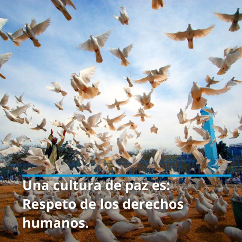 La paz no es solamente la ausencia de conflictos. – Red Paz UAM